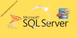 Link tải SQL Server nguyên gốc (ver 2022, 2019, 2017, 2016..)