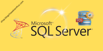 Link tải SQL Server nguyên gốc (ver 2022, 2019, 2017, 2016..)